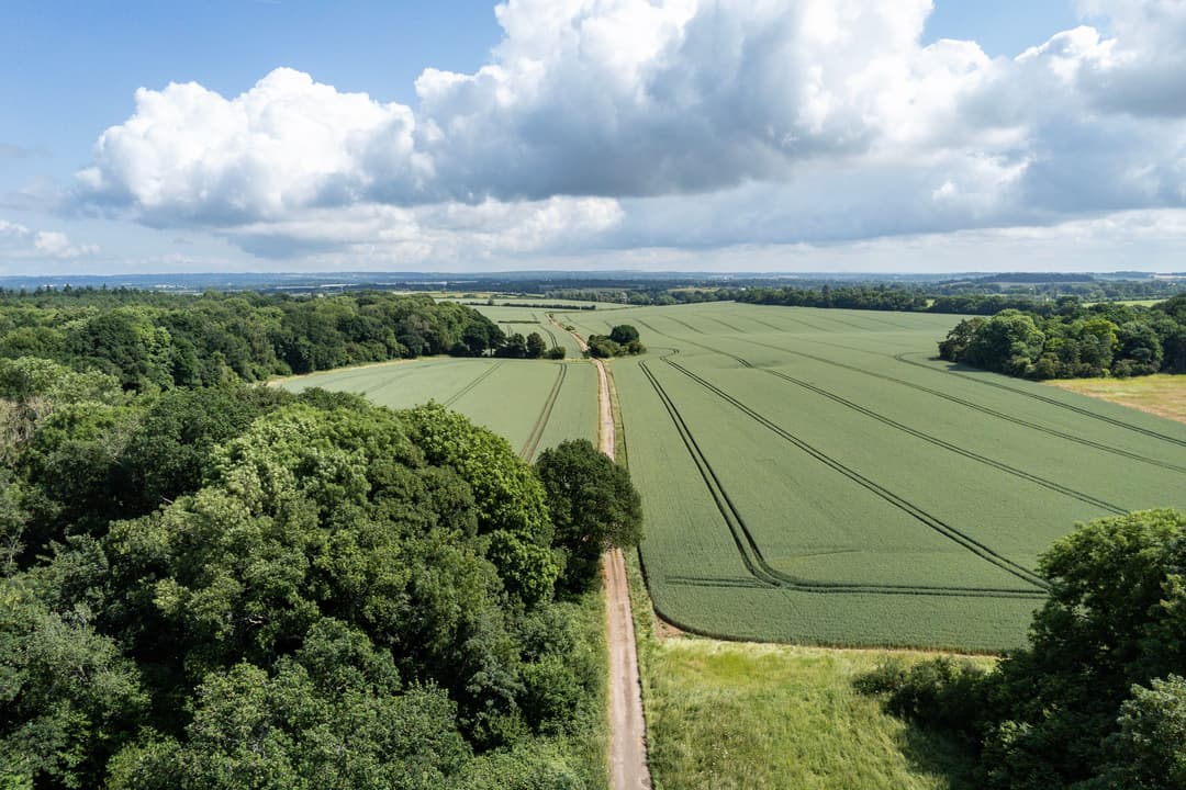 Specialists in Transacting Farms & Estates, Houses & Sporting Property ...