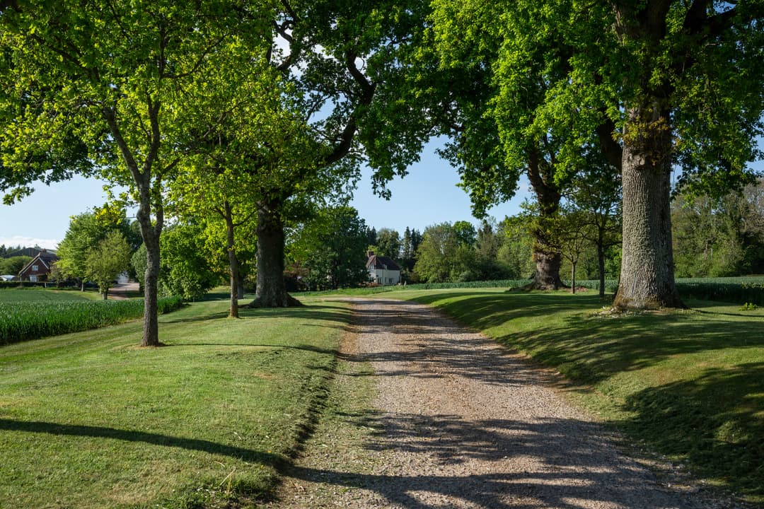 Specialists in Transacting Farms & Estates, Houses & Sporting Property ...